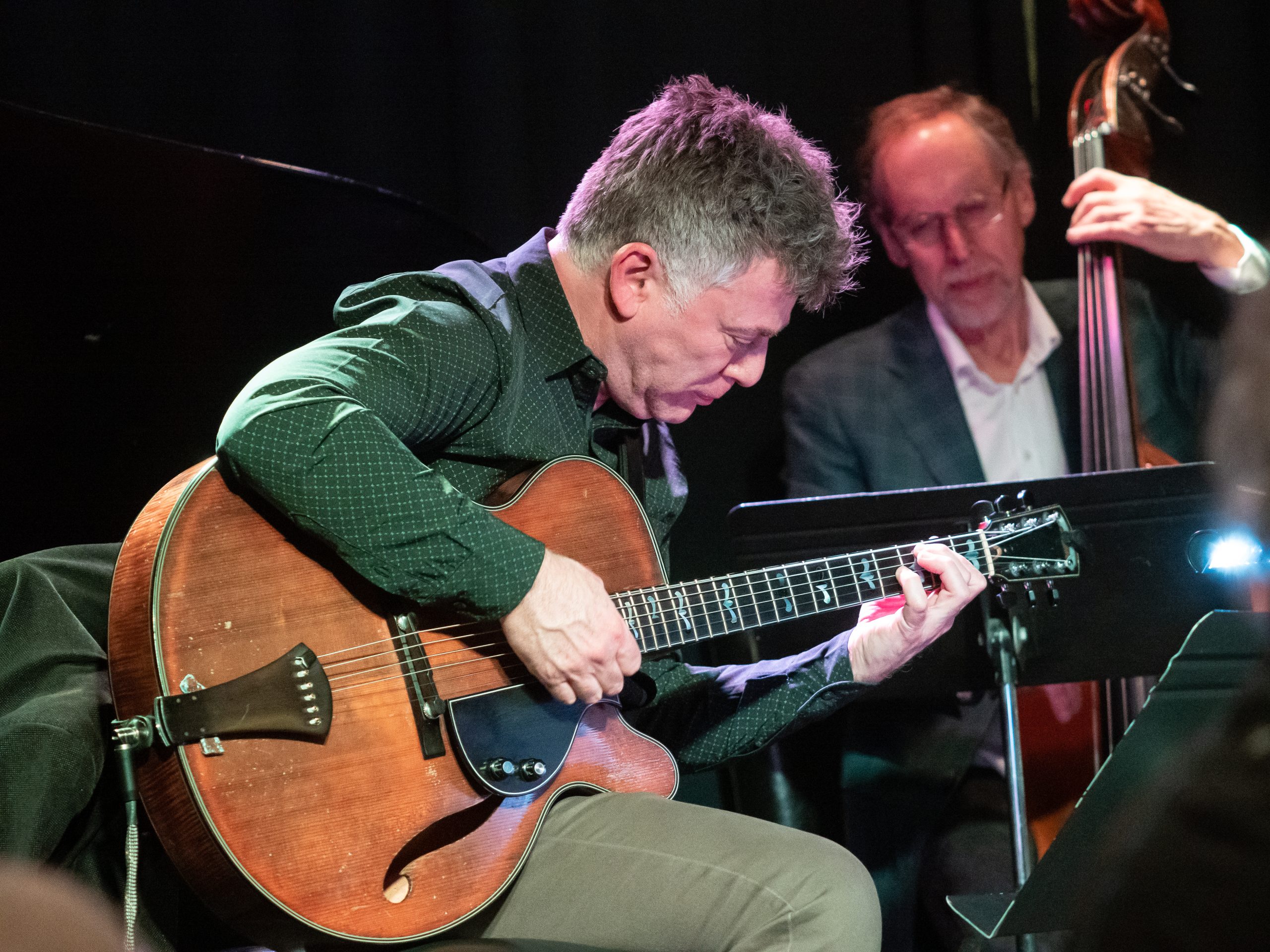 Peter Bernstein with the Tilden Webb Trio - Jodi Proznick